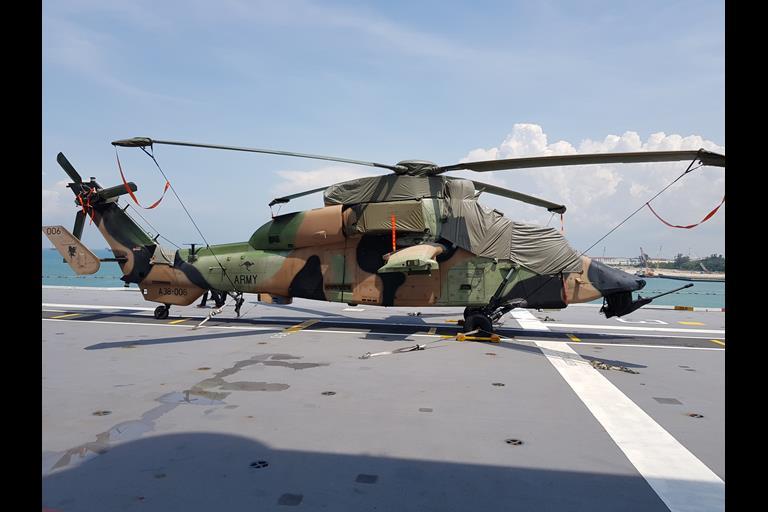 Resurgent Tiger fights for survival in Australian ARH competition ...